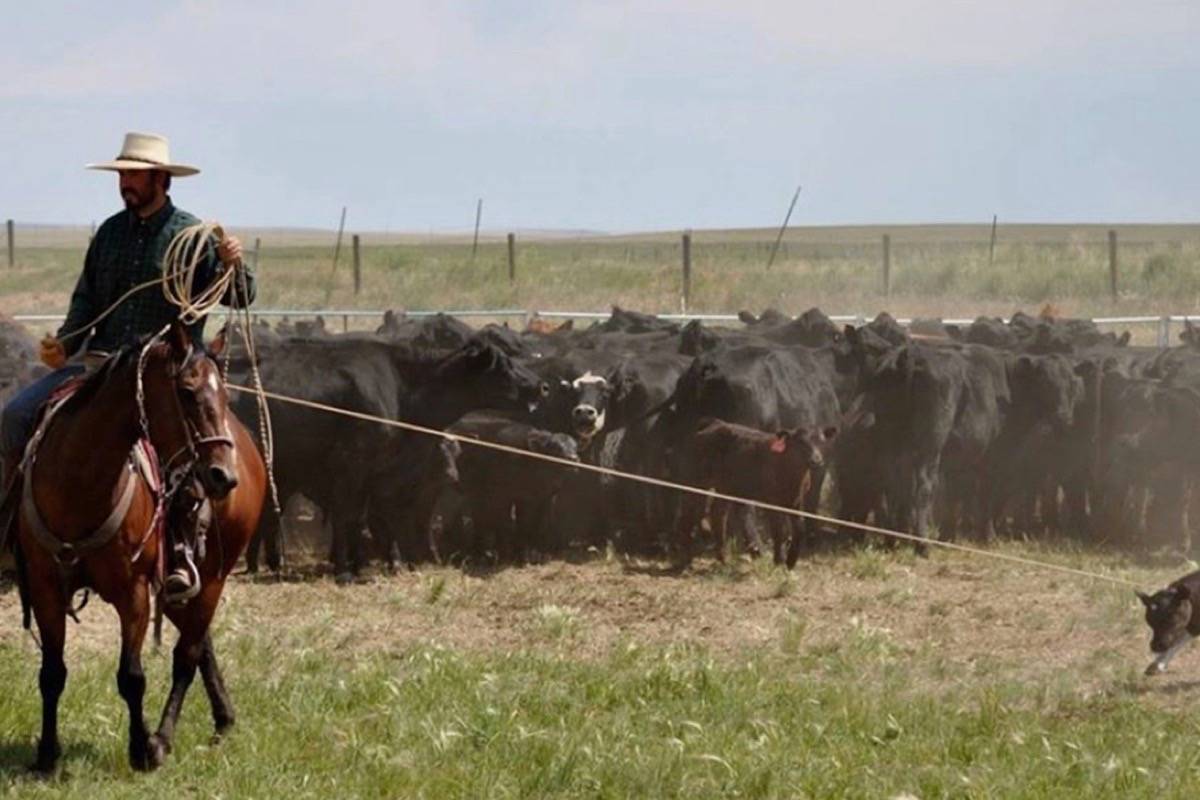 Denis Gagnon, President of BCSI, discusses the Ben Tyner case on Global ...